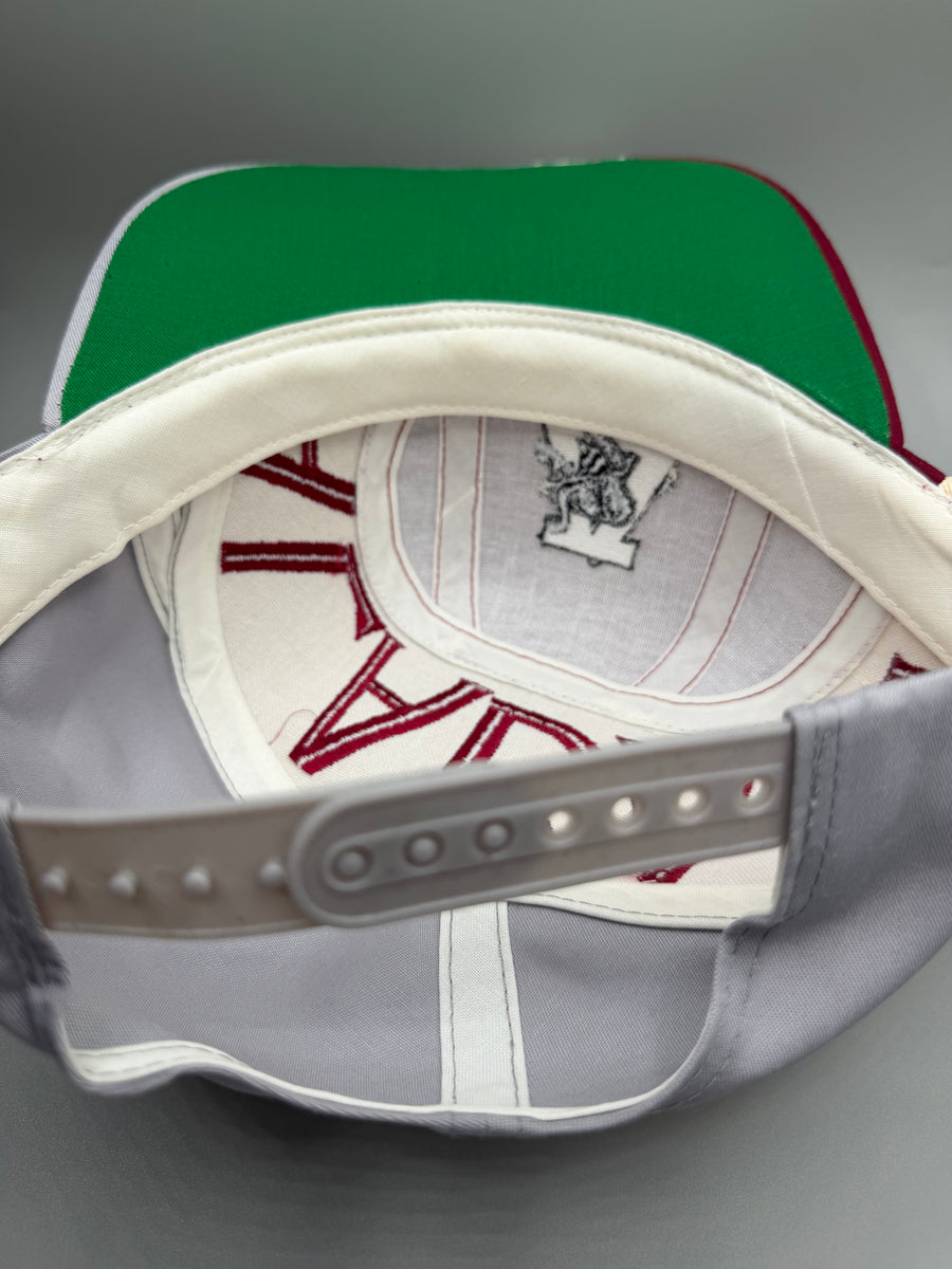 Vintage Alabama X Twins Enterprises Color Block Snapback Hat – Alabama VTG