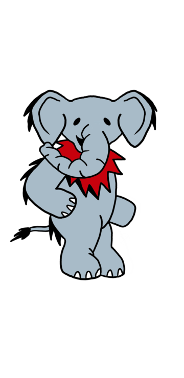 Alabama X Nike Team Issued Black Quarter Zip XL – Alabama VTG